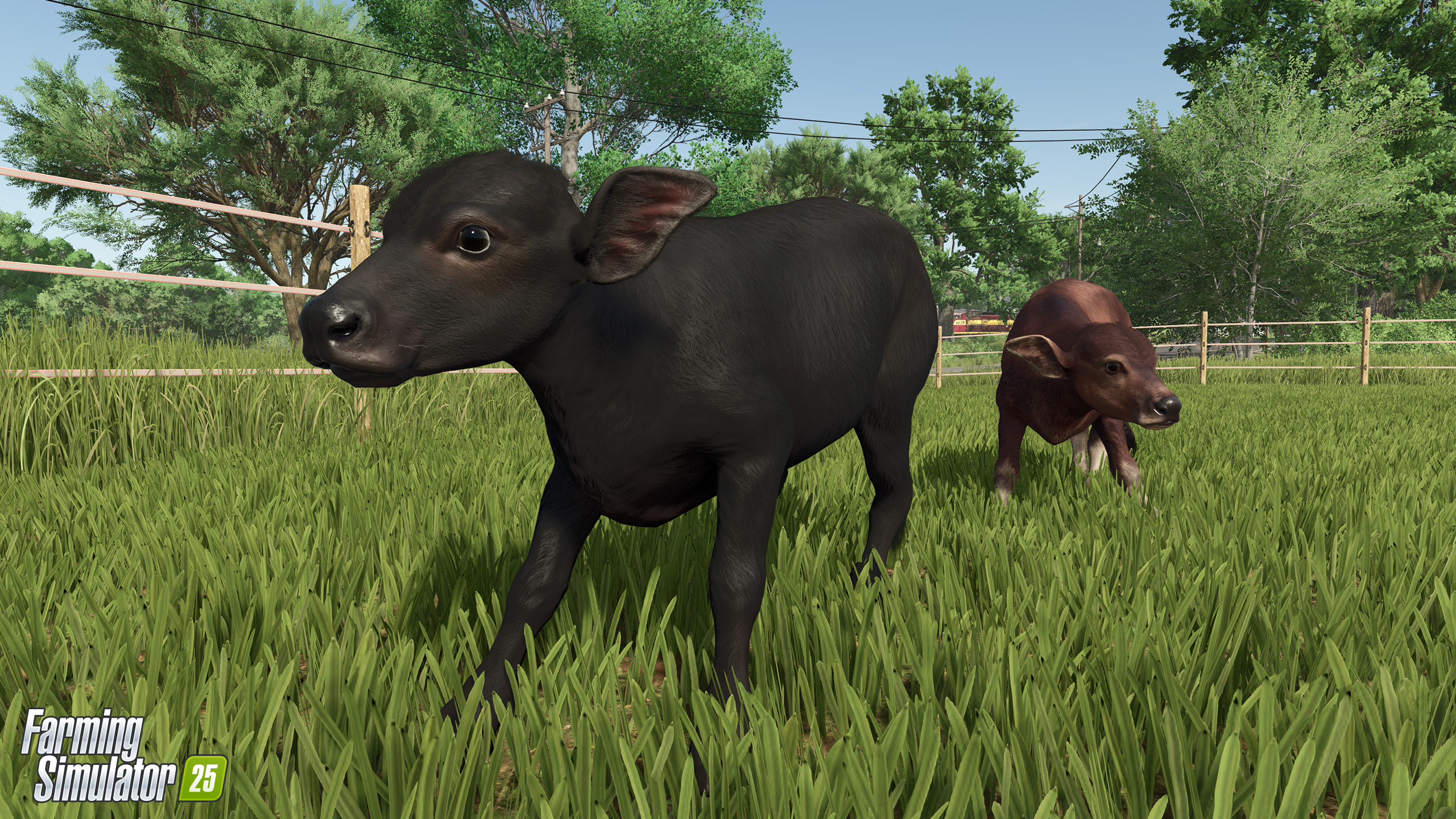 Introduction Of Water Buffalos – FS25.net