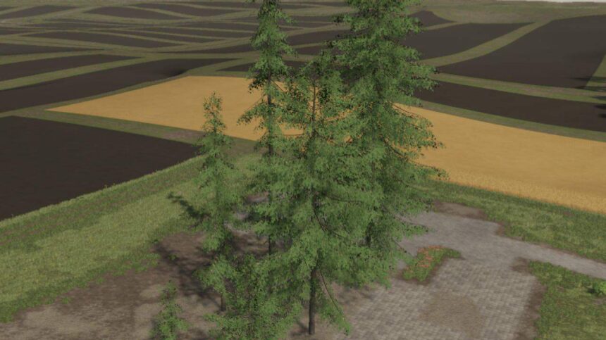 Spruces (Prefab) V1.0 – FS25.net