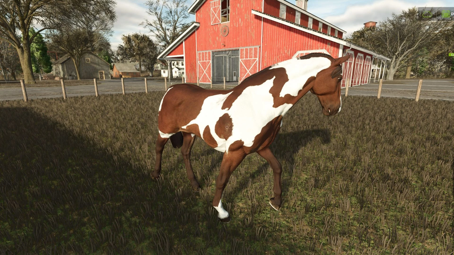 Increased value of the horse V1.0 – FS25.net
