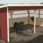 Horse pasture V1.0 – FS25.net