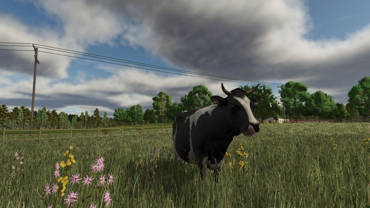 FS25 European Maps – FS25.net