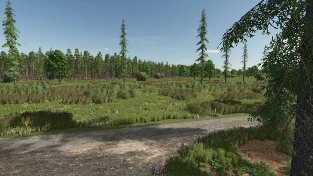 Sunshine Forest Map V1.0.0.6 – FS25.net