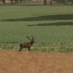 More Wild Animals V1.1 – FS25.net