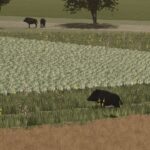 More Wild Animals V1.1 – FS25.net