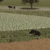 More Wild Animals V1.1 – FS25.net