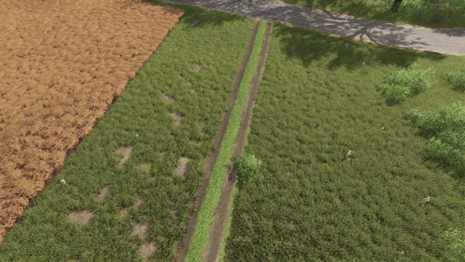 Farm Road V1.0 – FS25.net
