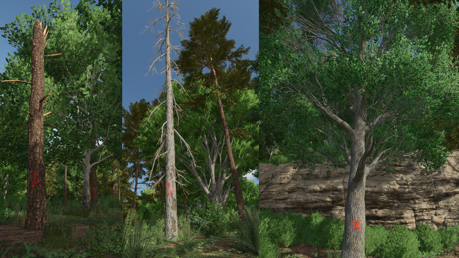 Advanced Deadwood Missions V1.0 – FS25.net