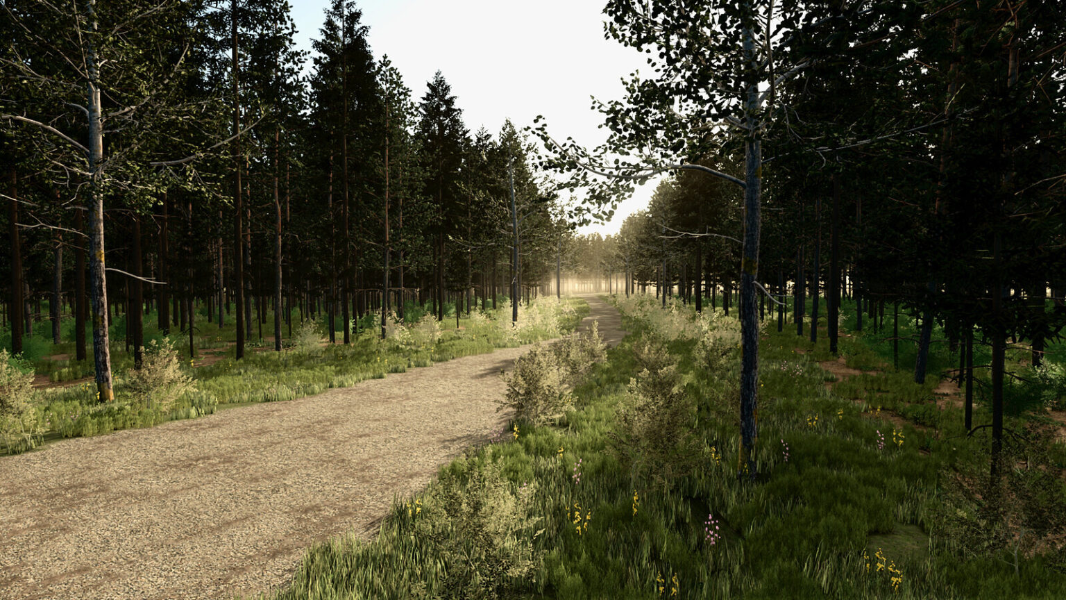 FS25 European Maps – FS25.net