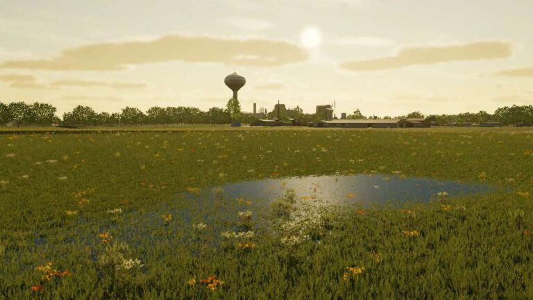 REA Dynamic Dirt V1.0.7 – FS25.net