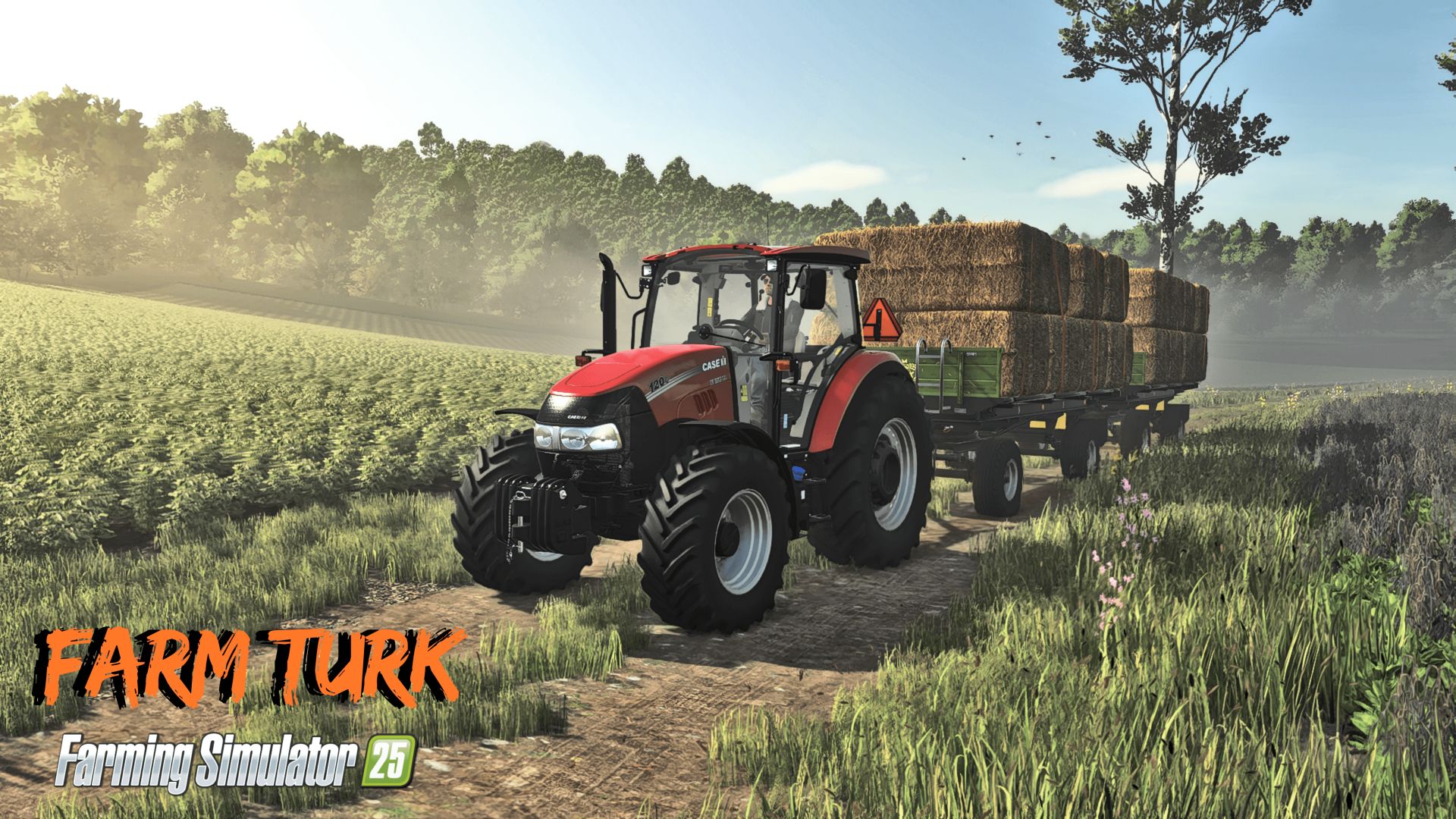 Farm Turk Map V1.0.0.1 – FS25.net